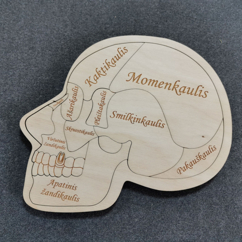 Medinė mokomoji dėlionė „Kaukolė“