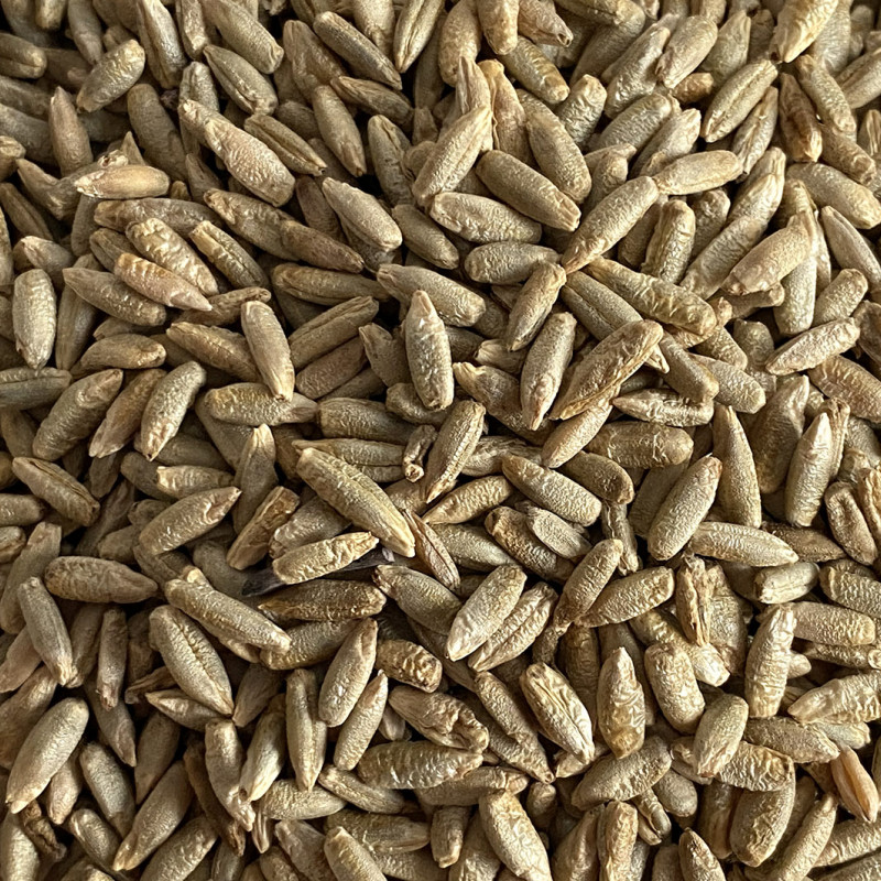 Rugių grūdai 700 g