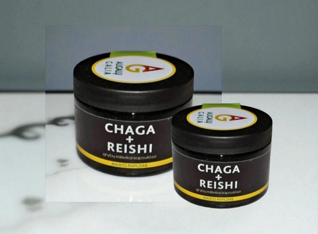 Beržo grybas Čaga +Reishi 120 kapsulių