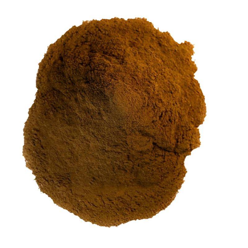 Beržo grybas Čaga +Reishi 120 kapsulių